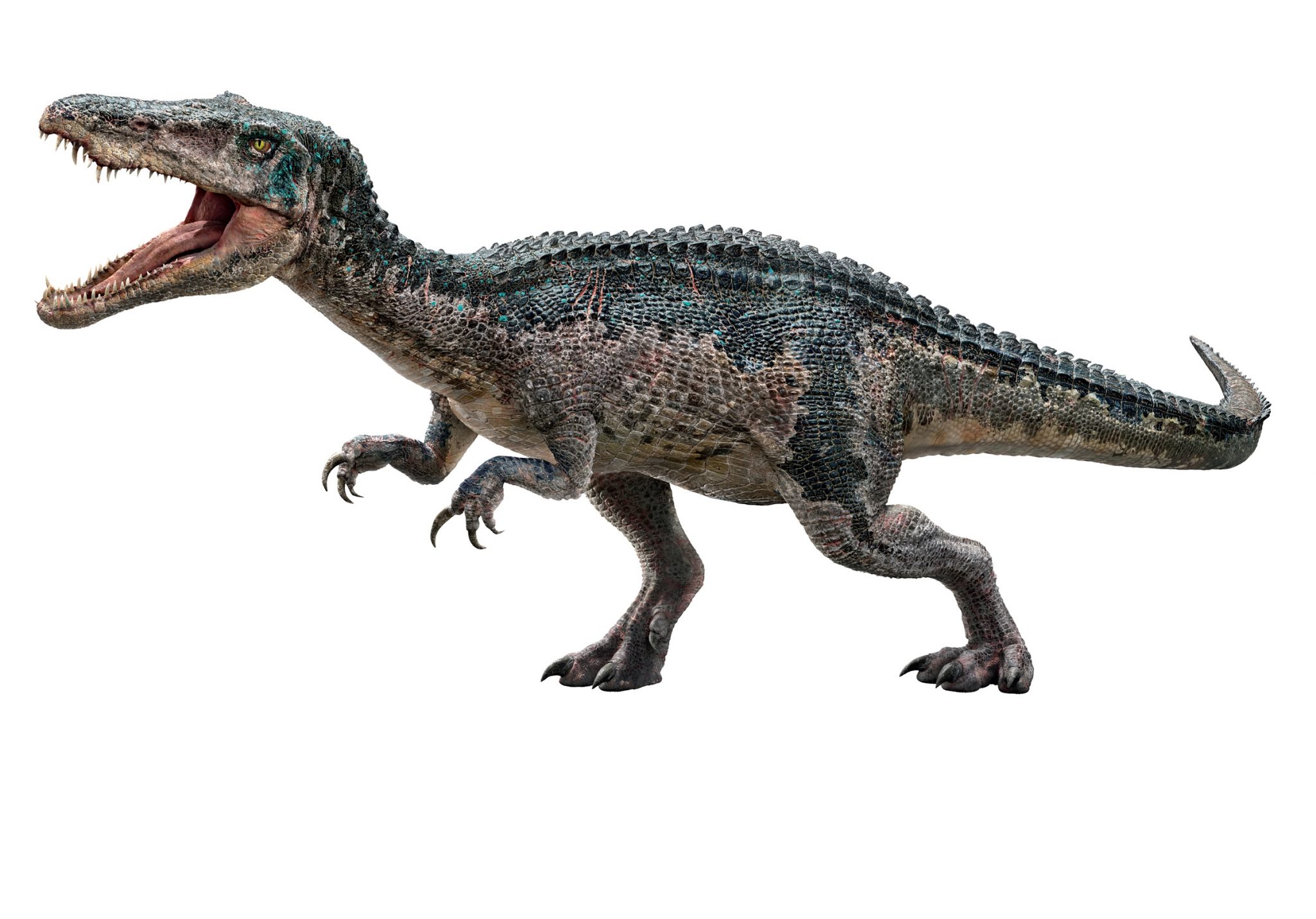 Baryonyx Scan Code » DNA scan codes for the Jurassic World Play App