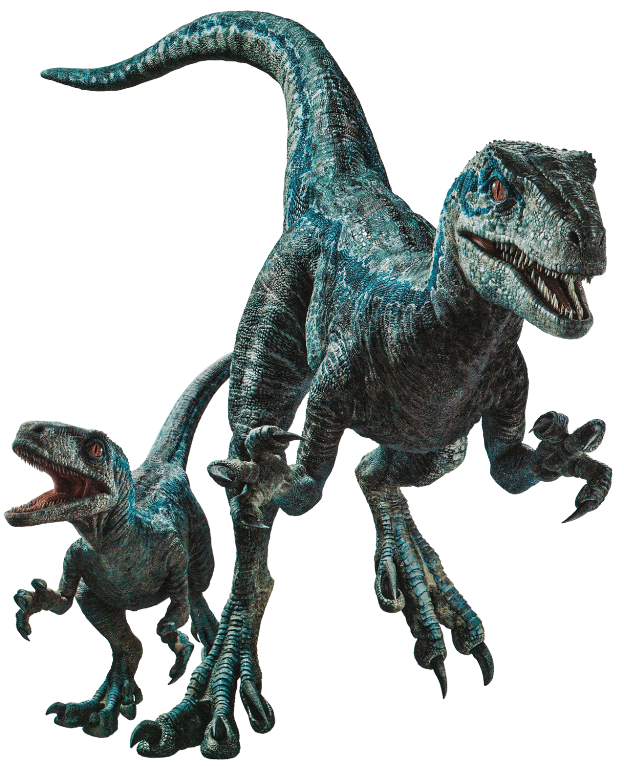 Velociraptor Beta Scan Code » DNA scan codes for the Jurassic World ...