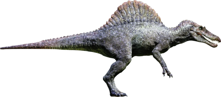 Spinosaurus Scan Code » DNA scan codes for the Jurassic World Facts App