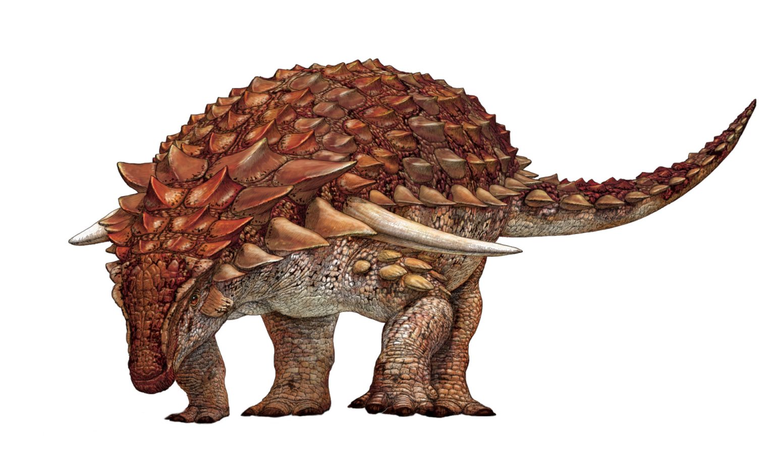 Borealopelta Scan Code » DNA scan codes for the Jurassic World Play App