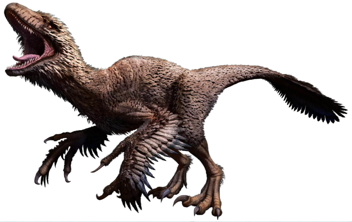 Utahraptor Scan Code » DNA scan codes for the Jurassic World Play App