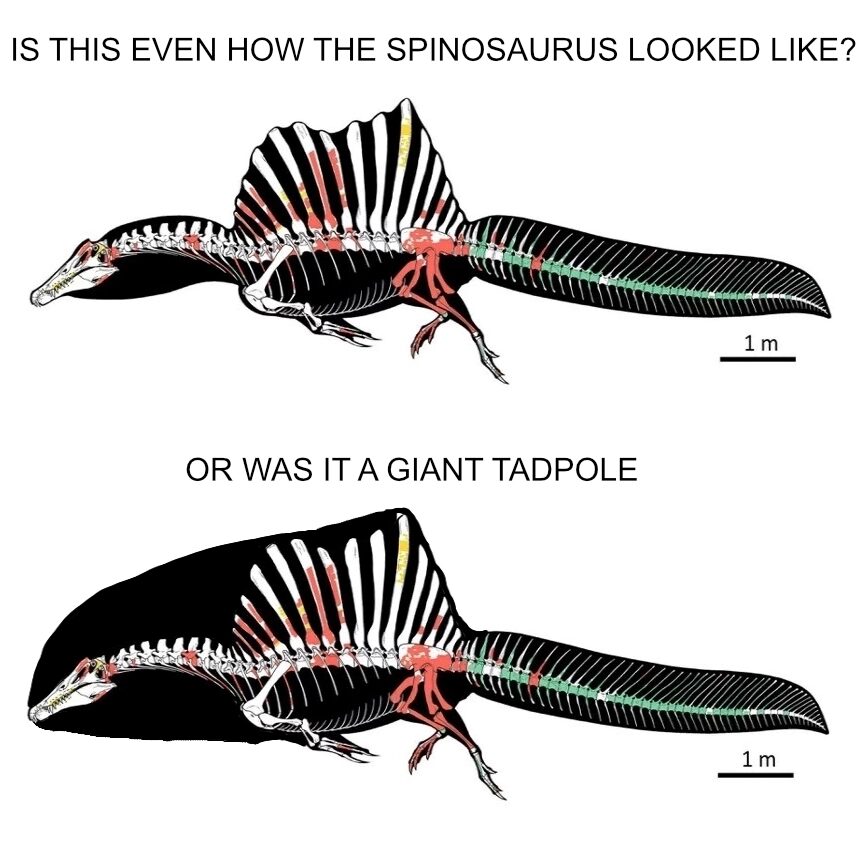The Spinosaurus debate - Sail or a Hump Scan Code » DNA scan codes for ...